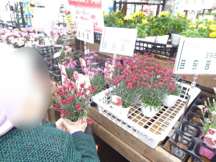 園芸のある生活 | ソナーレ浦和のホームブログ
